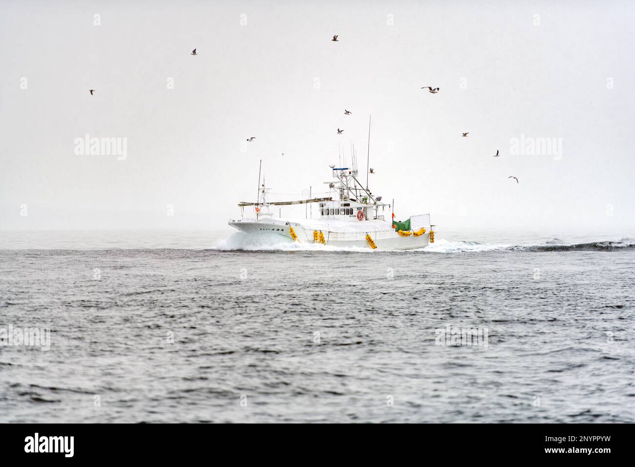 Japan2023 hi-res stock photography and images - Alamy