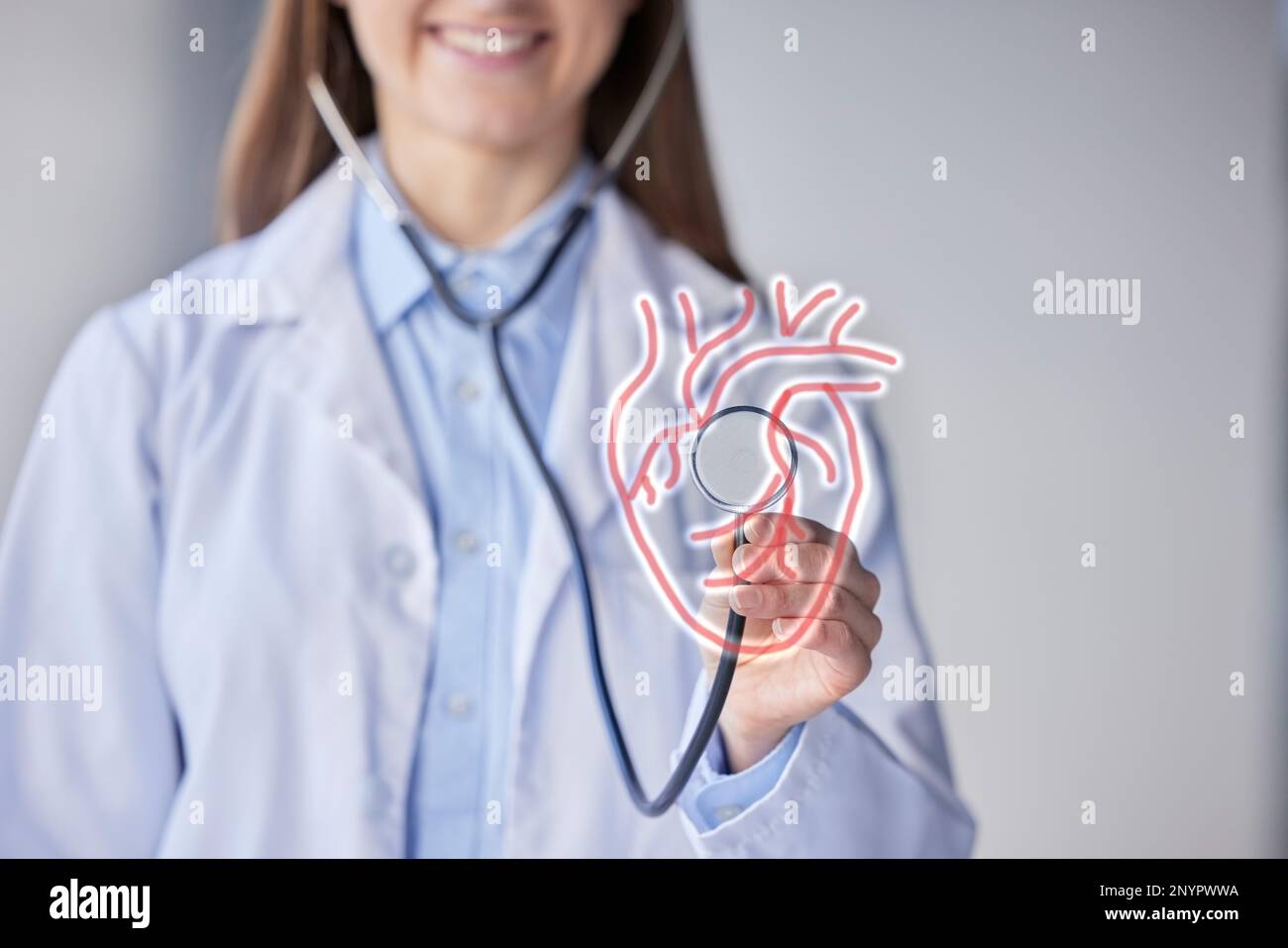 Heart diagram, stethoscope and cardiology help of a woman doctor in a ...