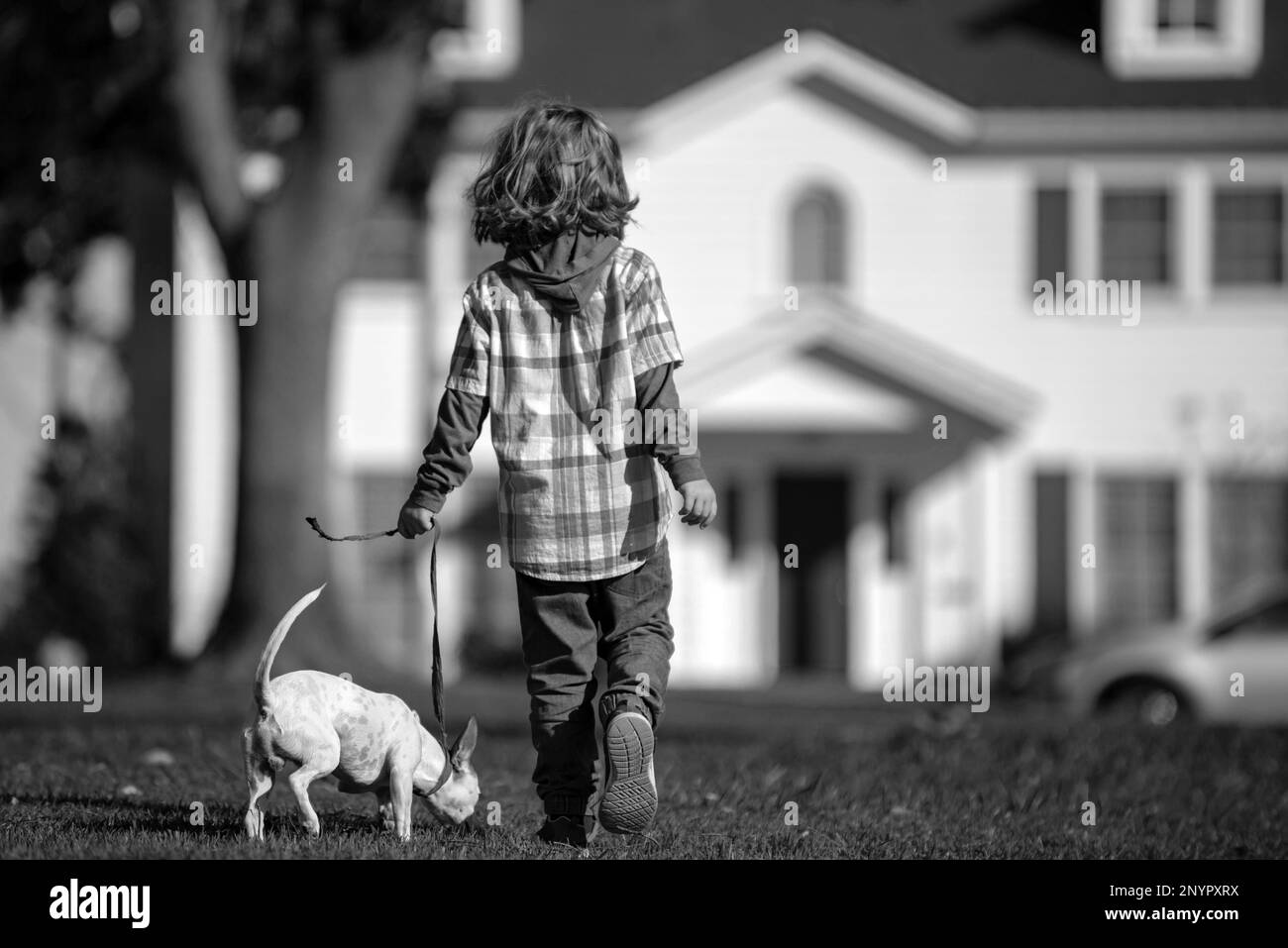 Child and puppy outside. Happy Kid boy and dog playing at backyard lawn ...