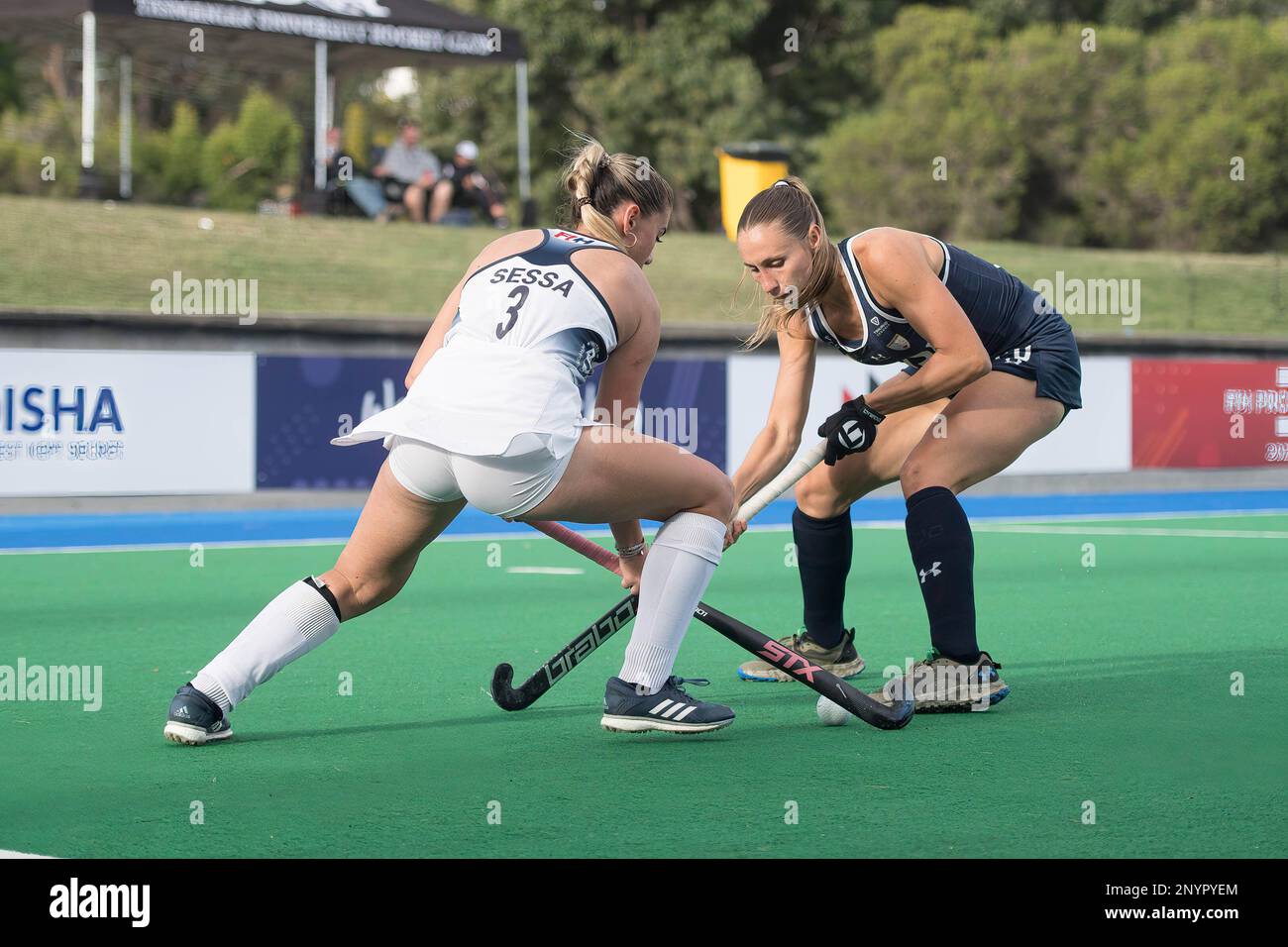 Sofia cairo hi-res stock photography and images - Alamy