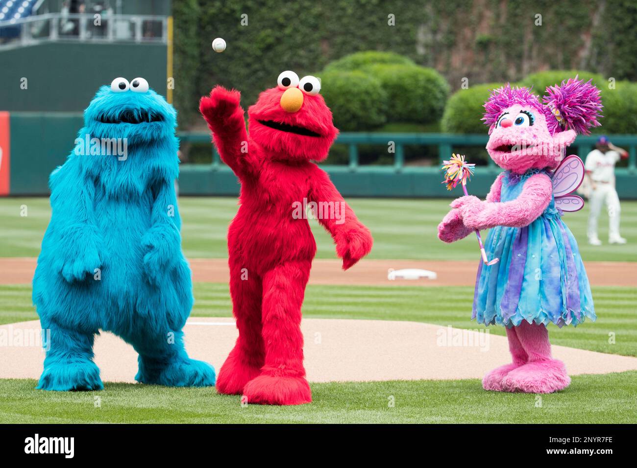 June 4, 2017: Sesame Street's Elmo throws out the first pitch with ...