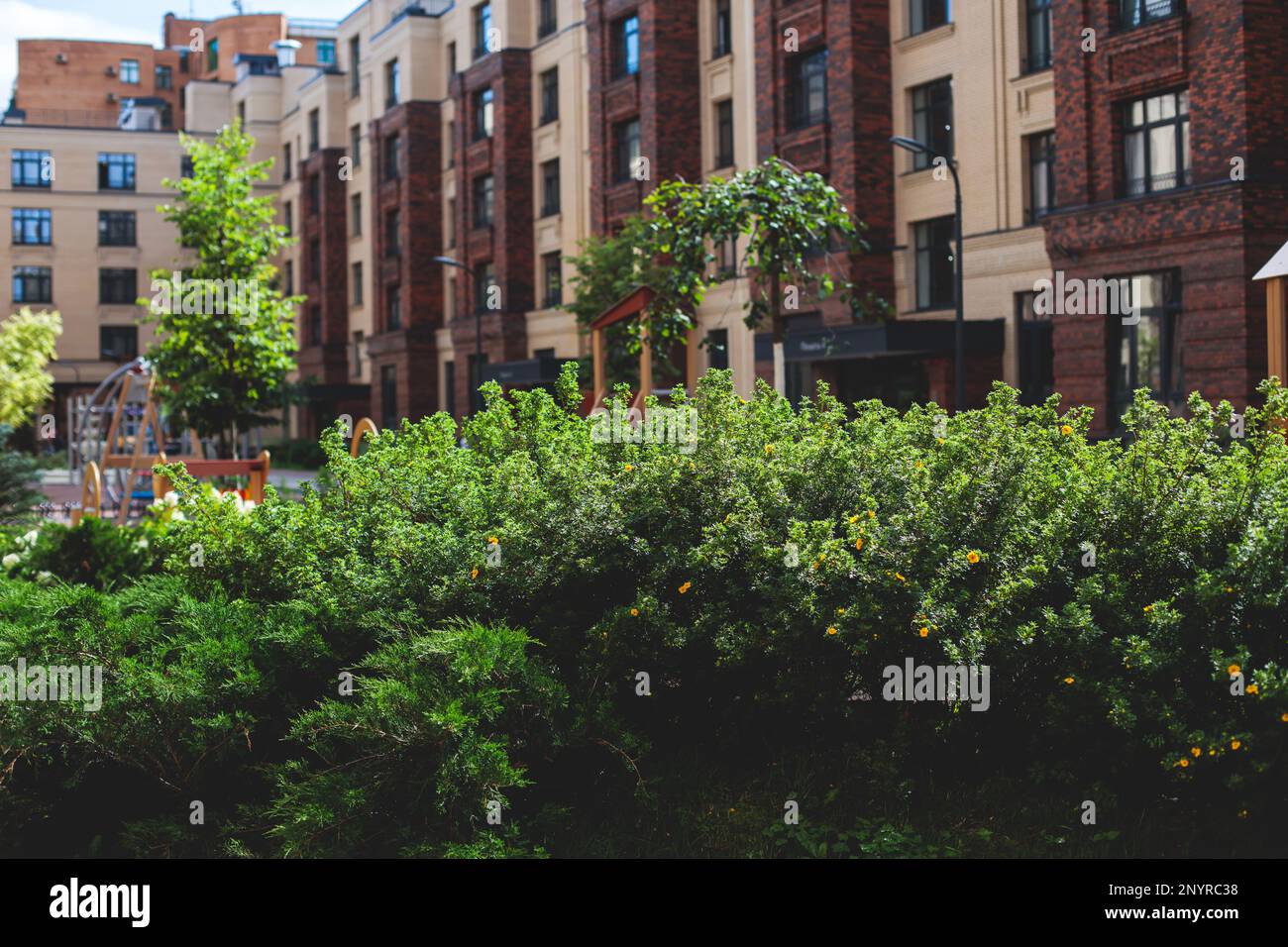 Modern european residential apartment complex yard territory, multi ...