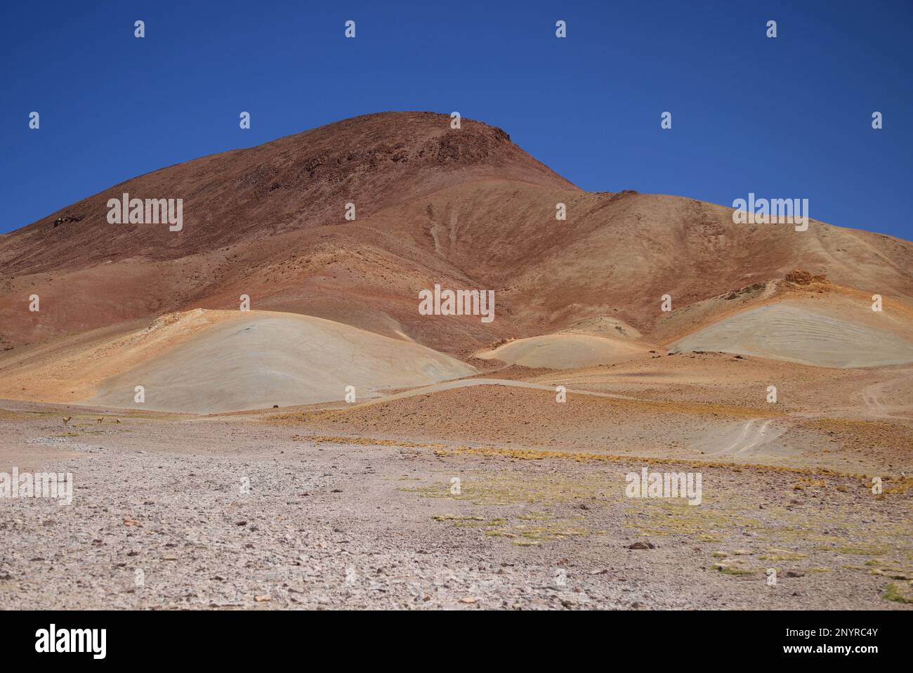 The spectacular colors of the Puna Argentina Stock Photo - Alamy