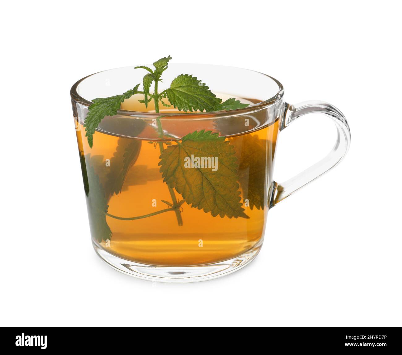 Glass cup of aromatic nettle tea on white background Stock Photo - Alamy