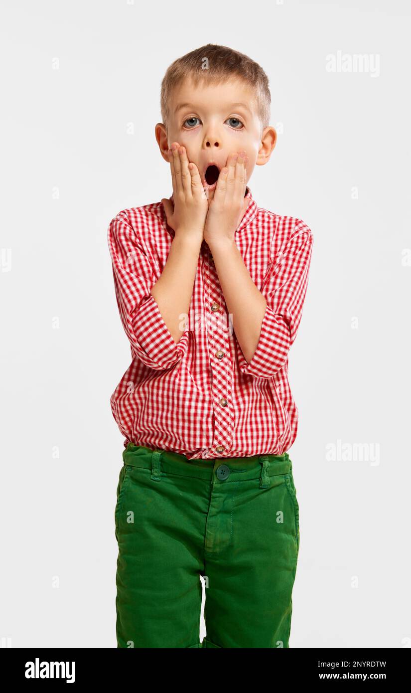 Little boy, kid in pink checkered shirt and green pants posing with ...