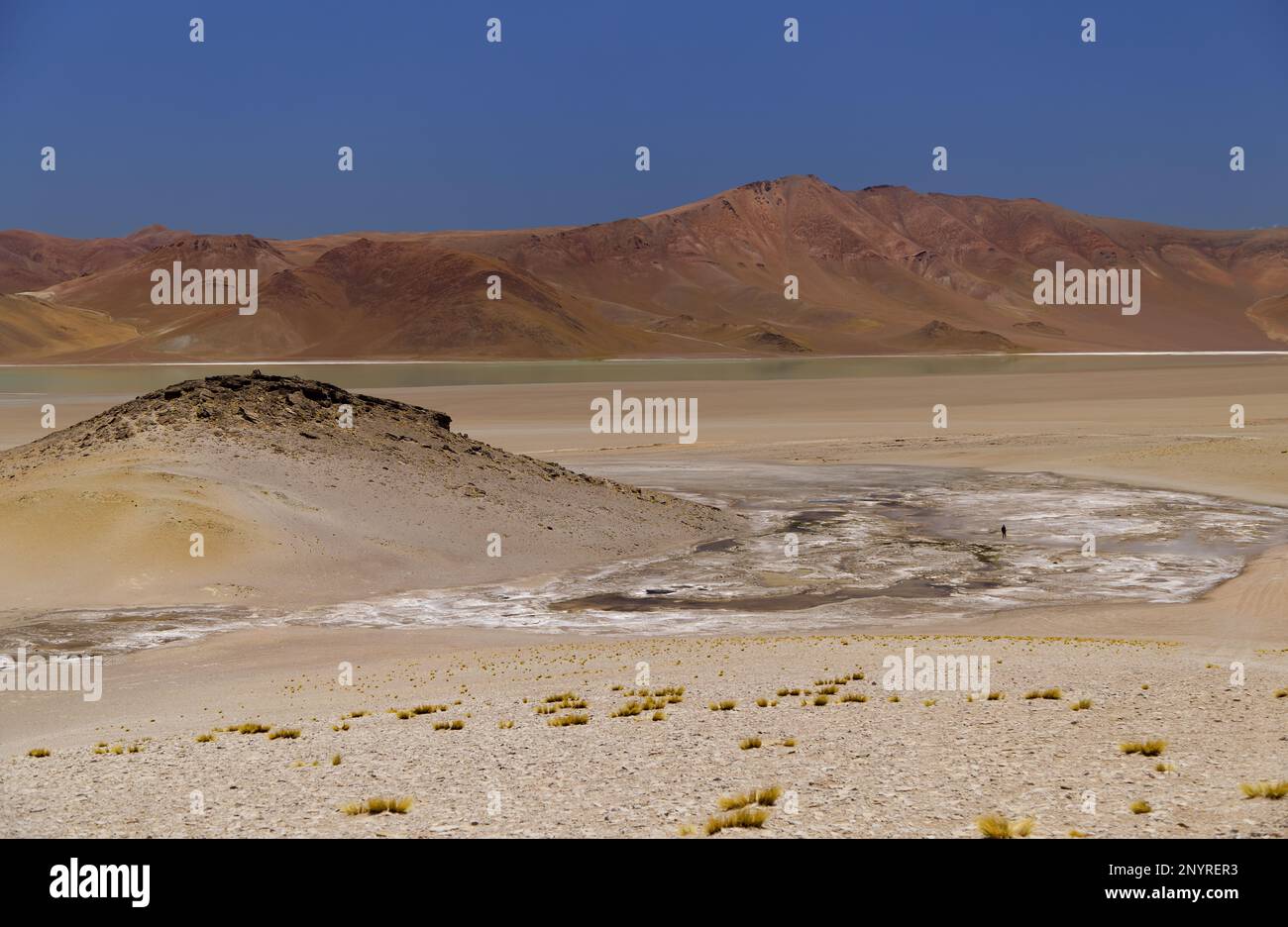 The fumaroles of the Galan Volcano in the Puna Argentina Stock Photo ...