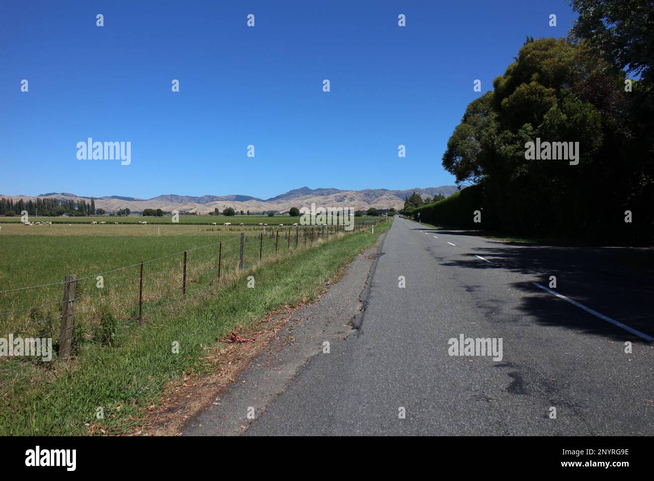 Blenheim new zealand hi-res stock photography and images - Alamy