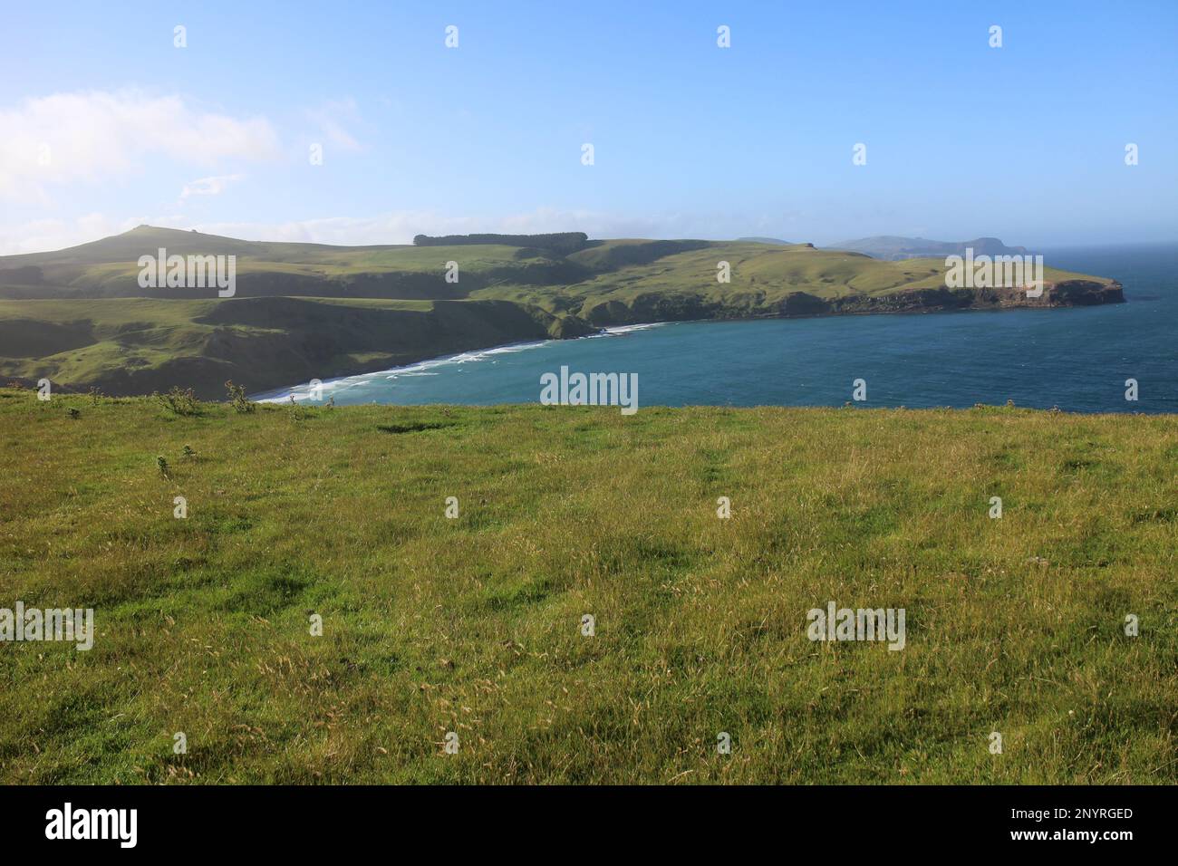 Otago Peninsula in Dunedin, New Zealand Stock Photo - Alamy