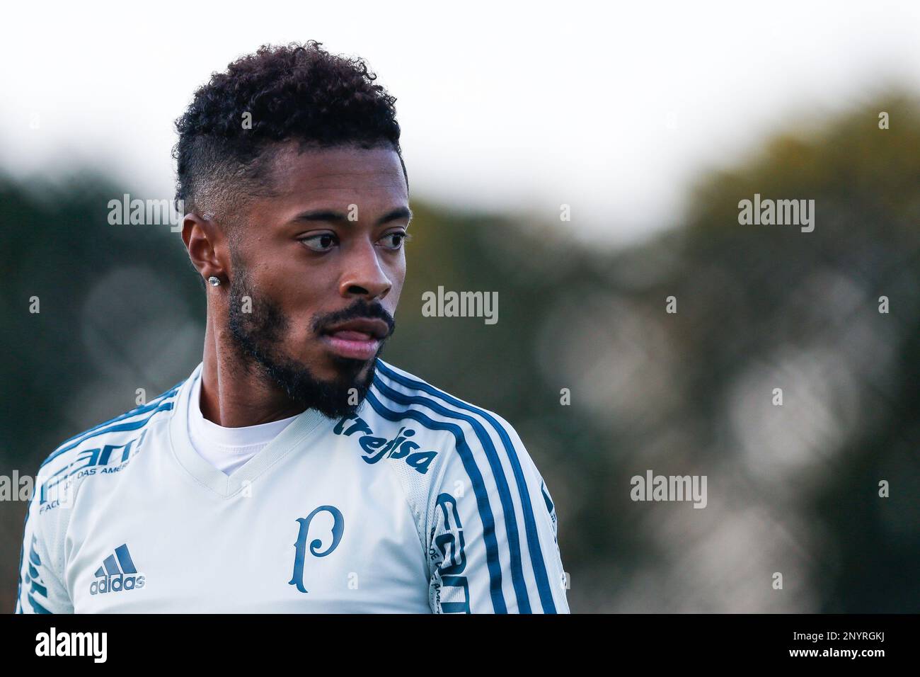 SAO PAULO - SP - 06/02/2017 - TREINO DO PALMEIRAS - Michel Bastos ...