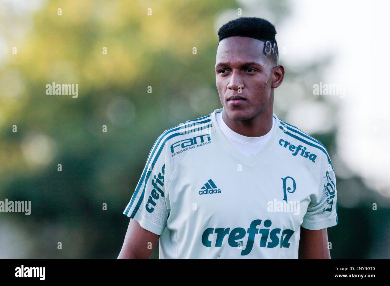 SAO PAULO - SP - 06/02/2017 - TREINO DO PALMEIRAS - Mine during ...
