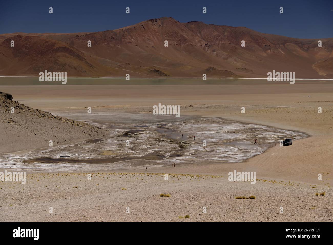 The fumaroles of the Galan Volcano in the Puna Argentina Stock Photo ...