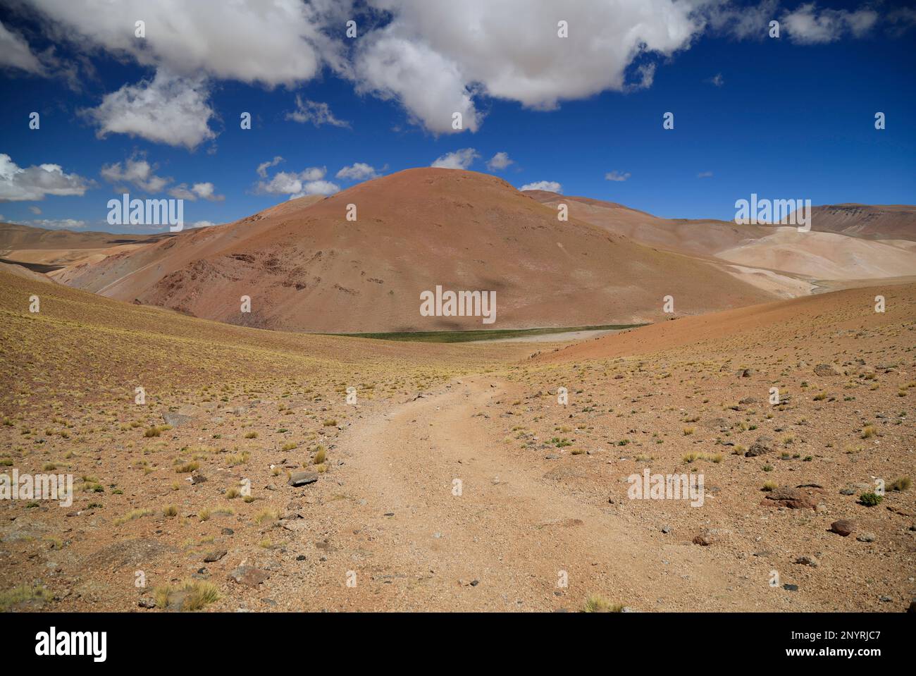 The spectacular colors of the Puna Argentina Stock Photo - Alamy