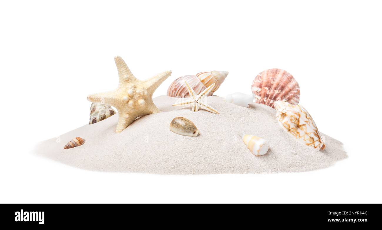 Beautiful sea stars and seashells in sand on white background Stock ...