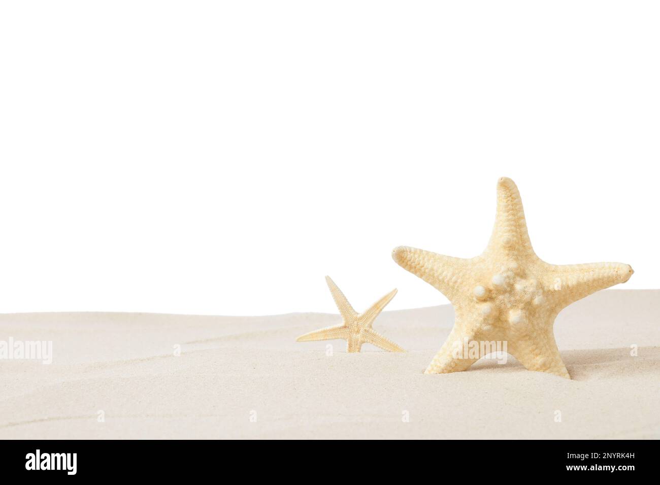 Beautiful sea stars in sand on white background Stock Photo - Alamy