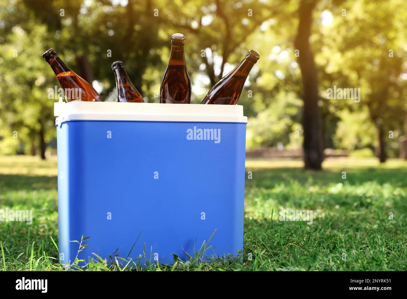 Blue cooler box grass hi-res stock photography and images - Alamy