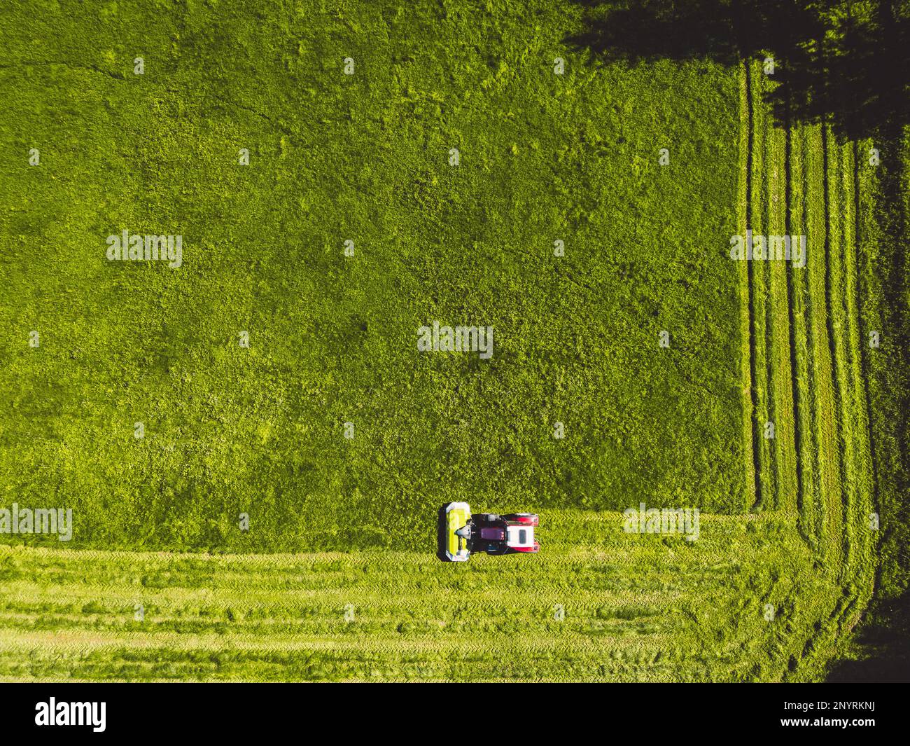 Top down view of a tractor mowing a grass field in straight lines all ...