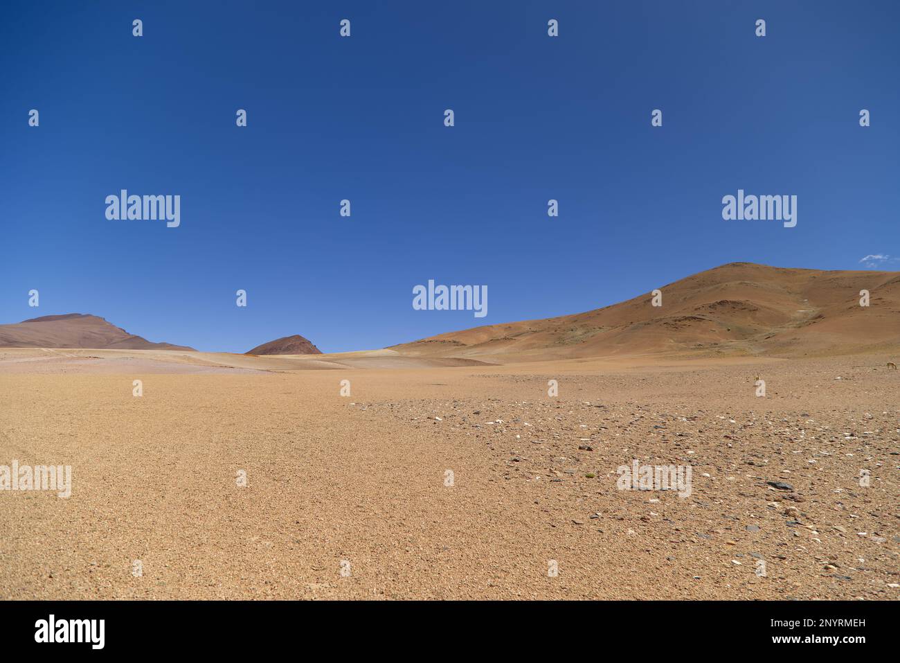 The spectacular colors of the Puna Argentina Stock Photo - Alamy