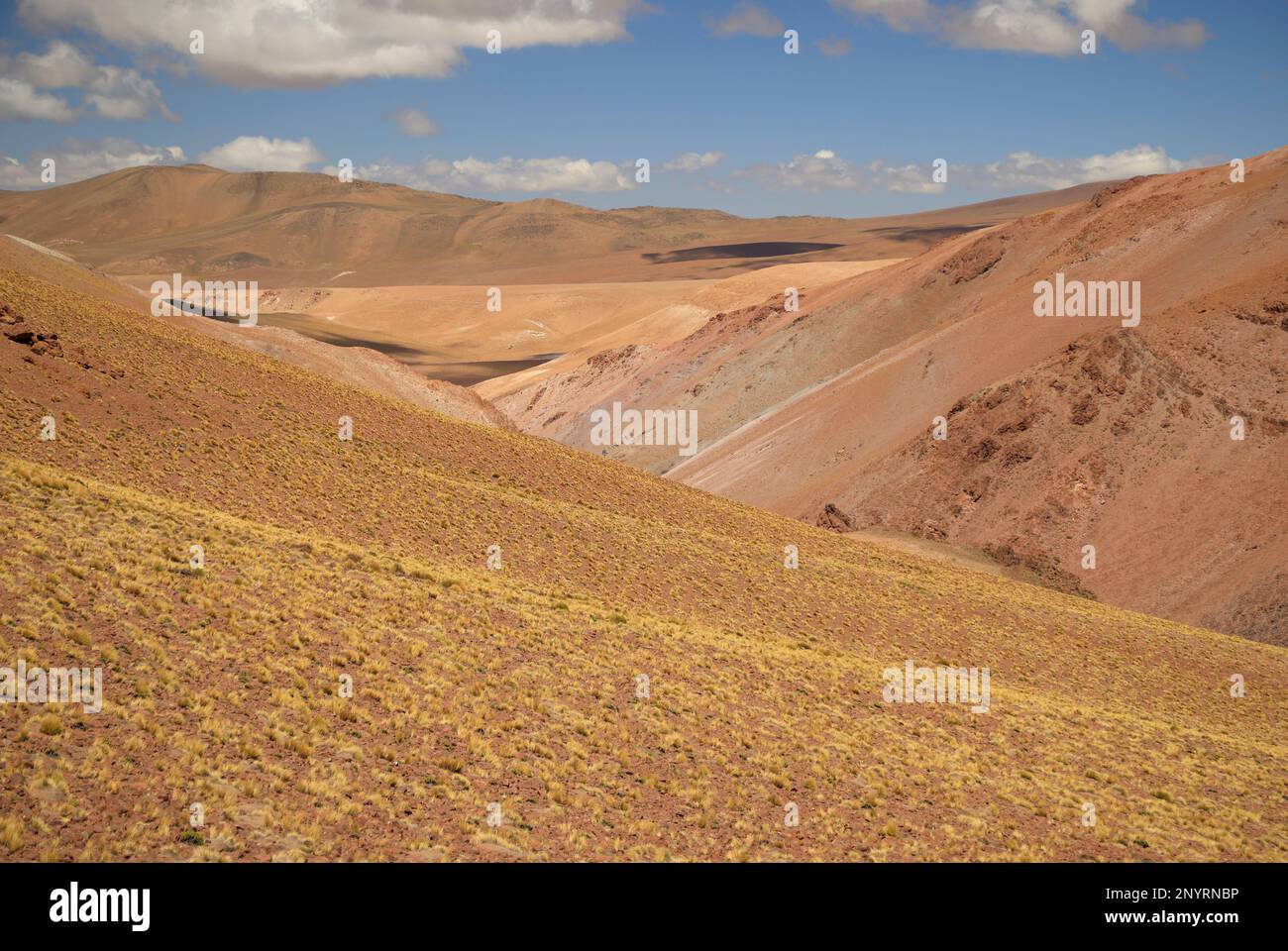 The spectacular colors of the Puna Argentina Stock Photo - Alamy