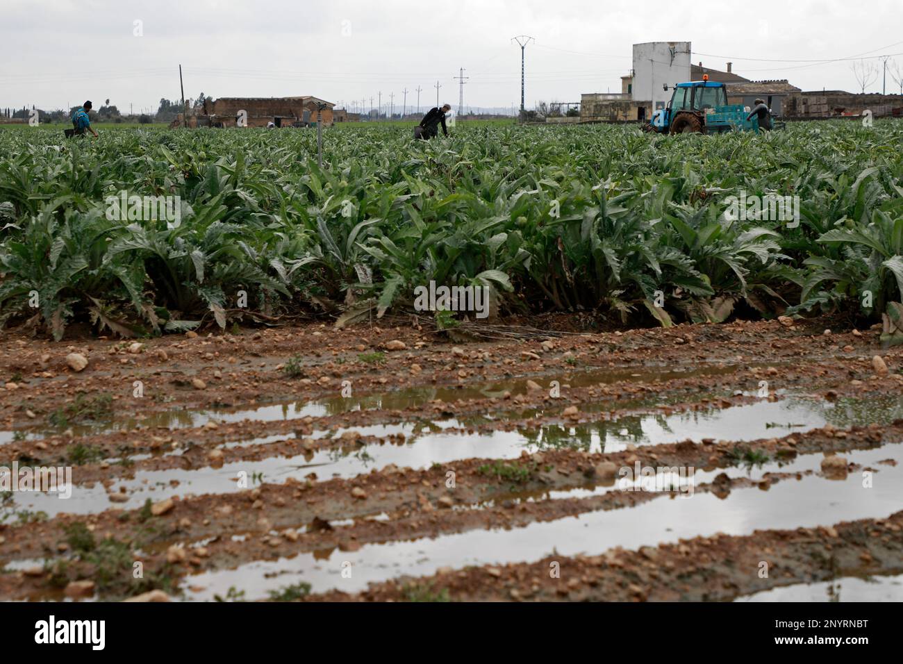 A pobla hi-res stock photography and images - Alamy