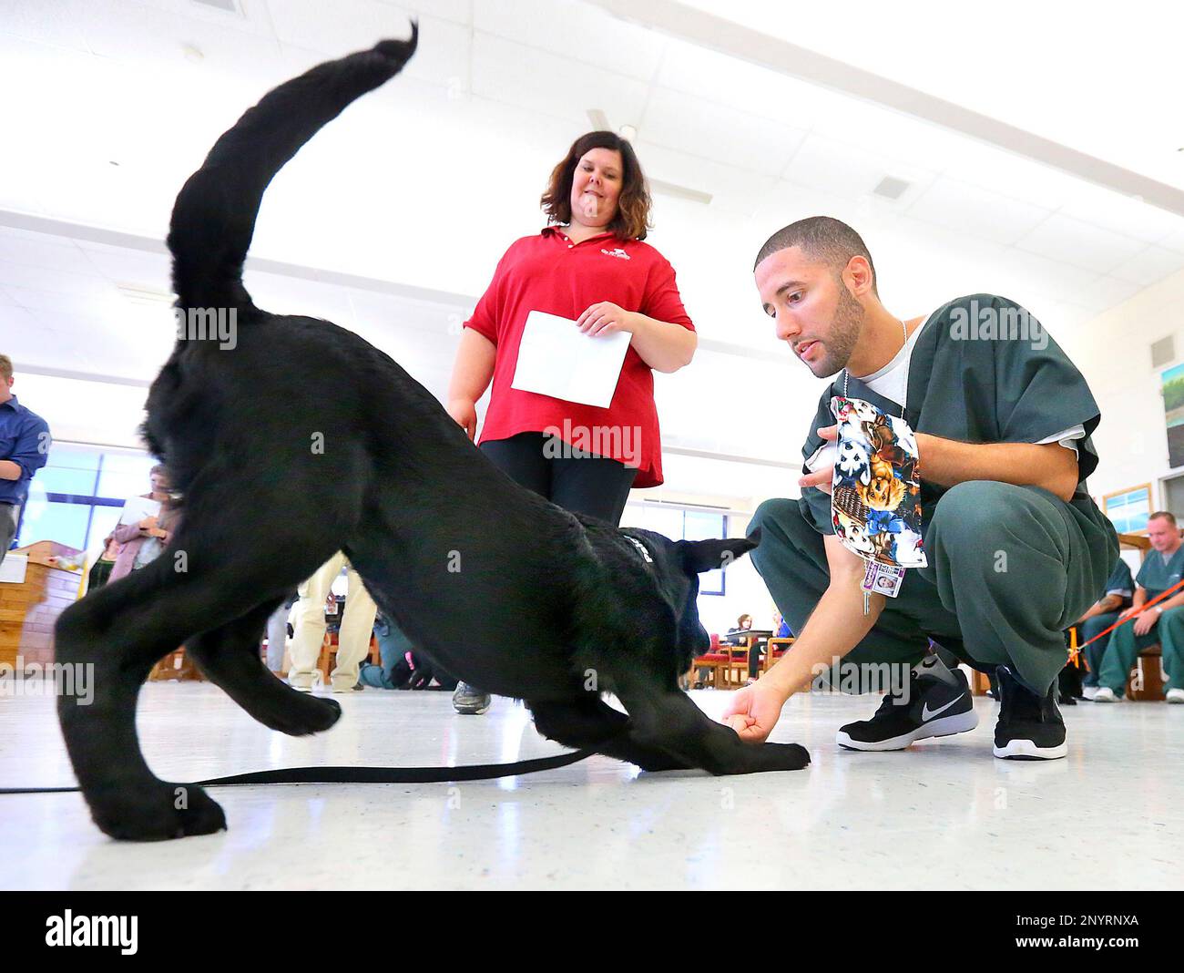In this Tuesday, May 23, 2017 photo, Can Do Canines dog trainer Dyan ...
