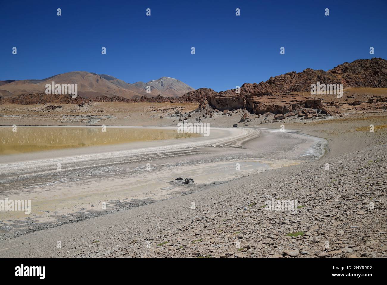 View of the Laguna Grande in the Puna Argentina Stock Photo - Alamy