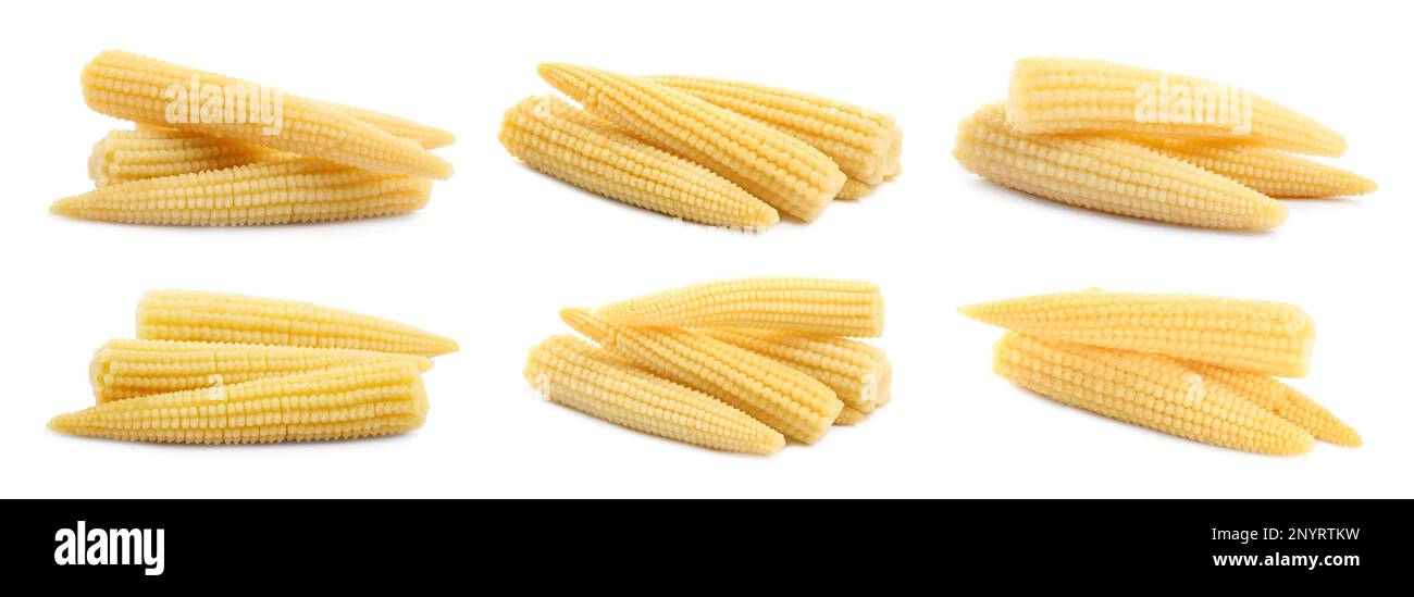 Set with tasty baby corn cobs on white background. Banner design Stock ...