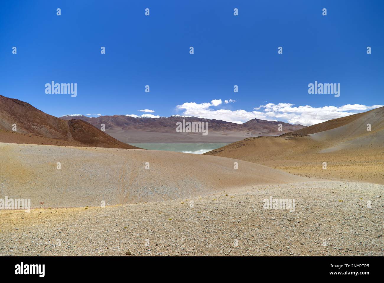 View of the diamond lagoon in the Puna Argentina Stock Photo - Alamy