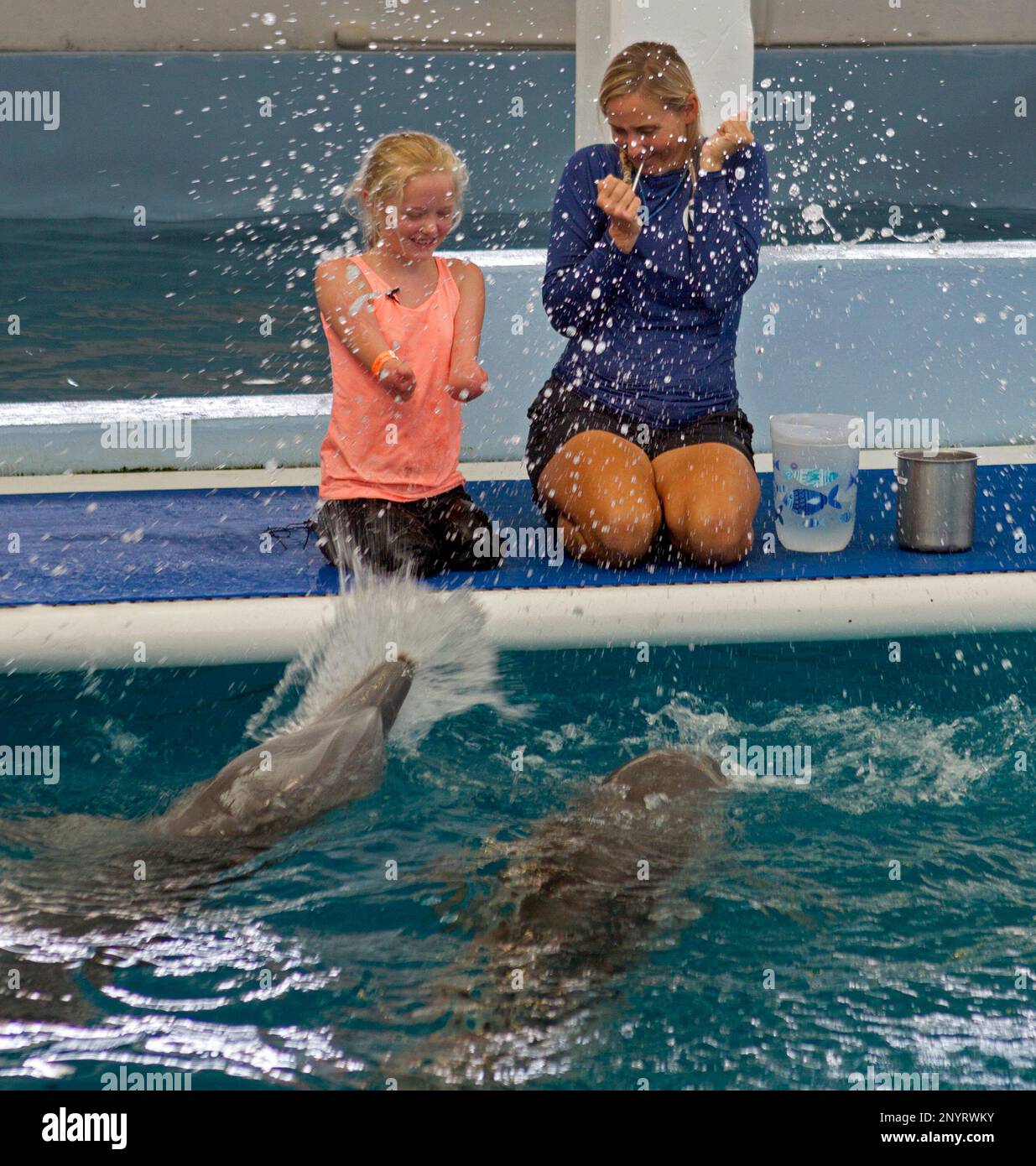 Ellie Challis, 13, and trainer Cammie Zodrow are splashed by dolphins ...