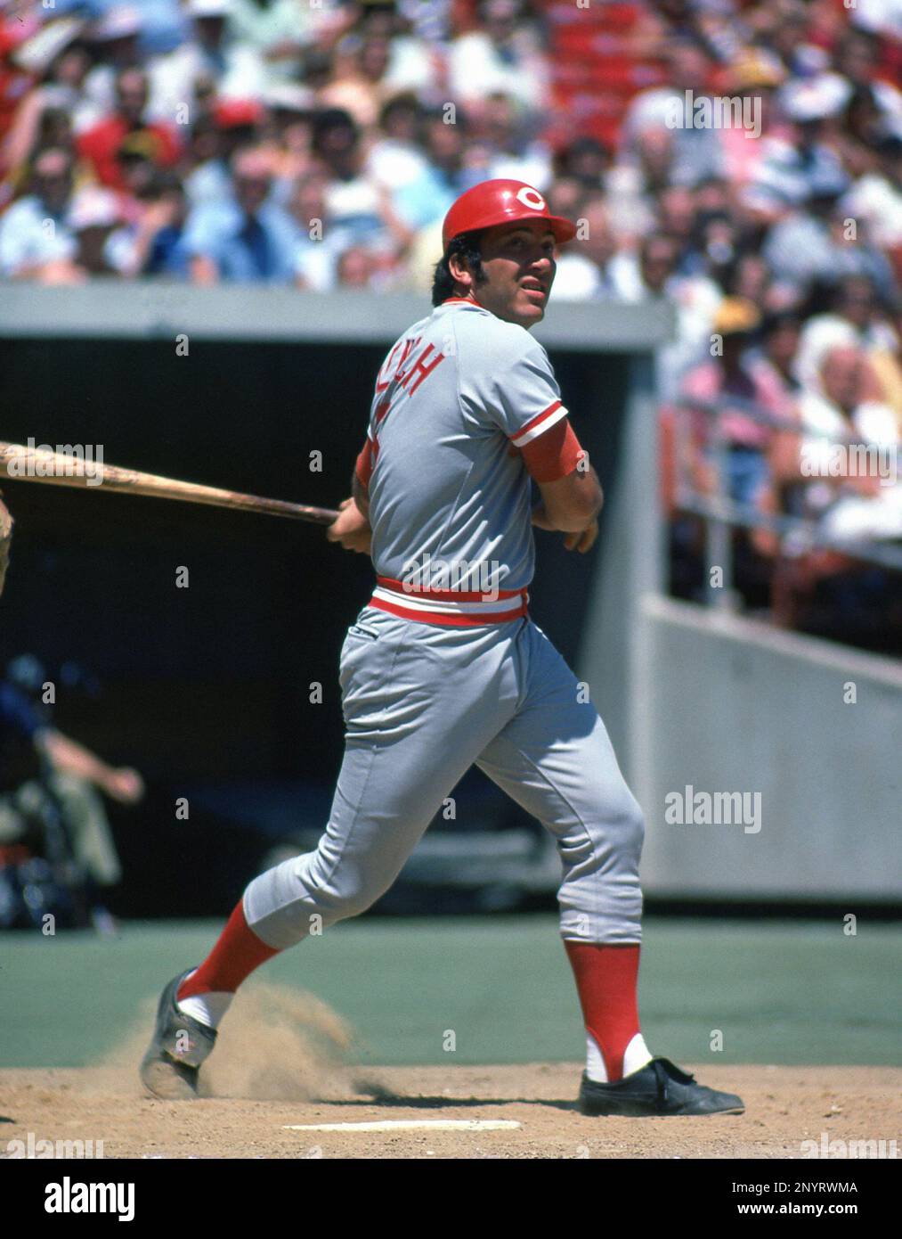 Cincinnati Reds catcher Johnny Bench circa 1974. (Tony Tomsic via AP ...