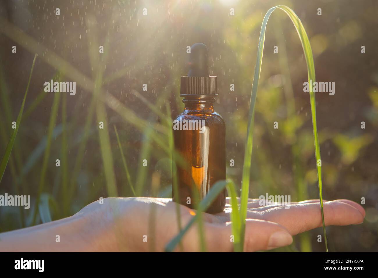 Hand holding dropper bottle with herbal alternative therapy oil ...