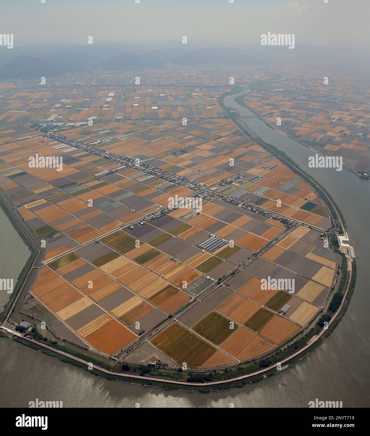 Barley fields form a vivid mosaic on about 1,500 hectares of reclaimed ...