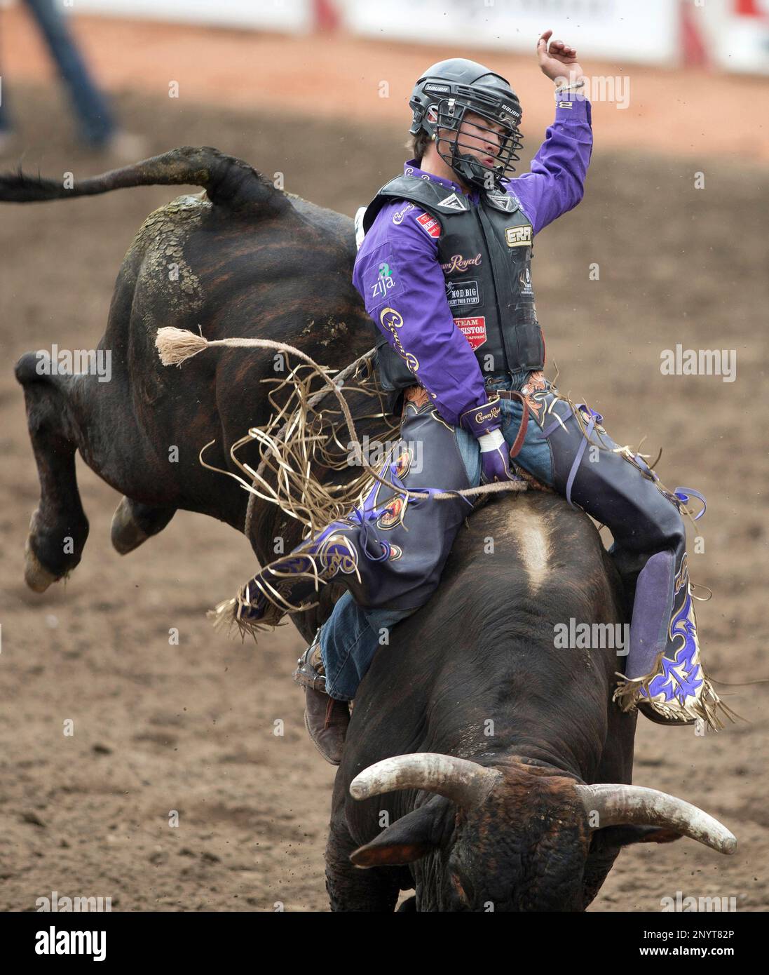 Bull Riding event during the Calgary Stampede rodeo in Calgary, Alberta ...