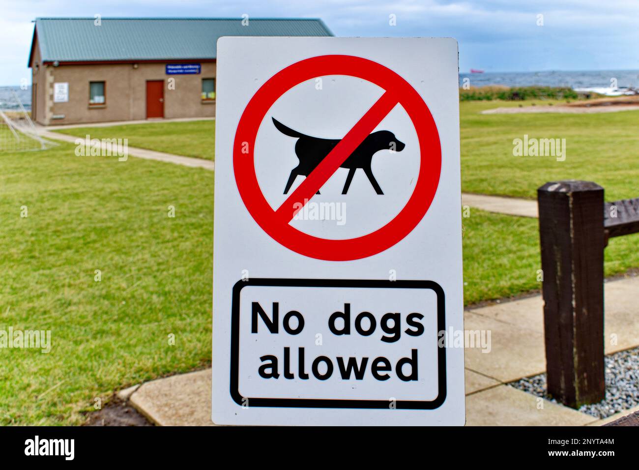 NO DOGS ALLOWED SIGN in front of childrens playing fields Stock Photo ...