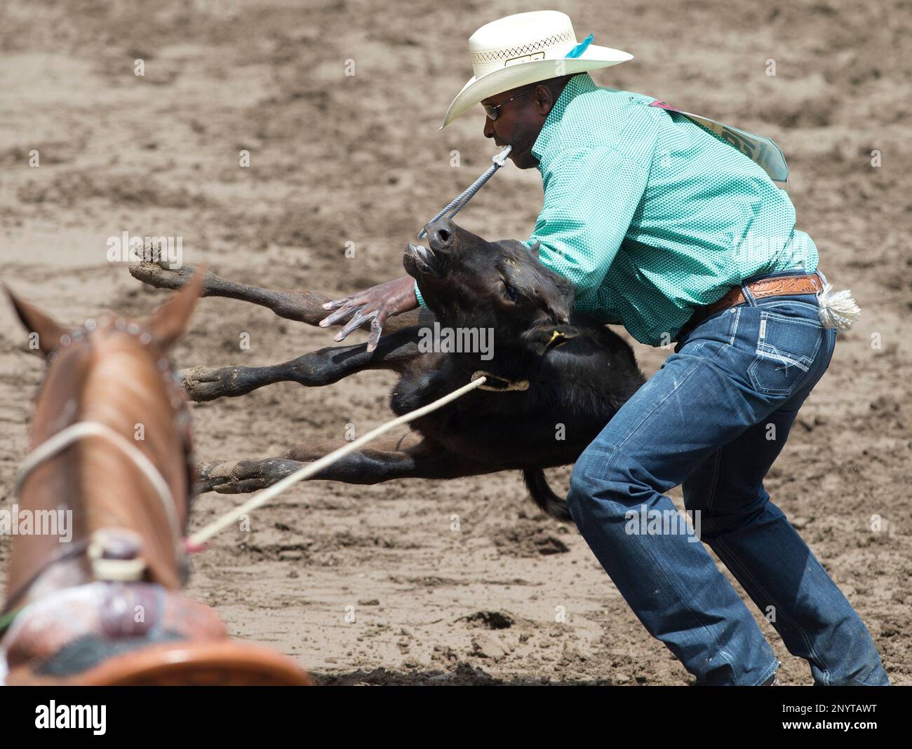Cowboy Fred Whitfield, from Hockley, Texas, competing in the Tie-Down Roping (Calf Roping) event ...