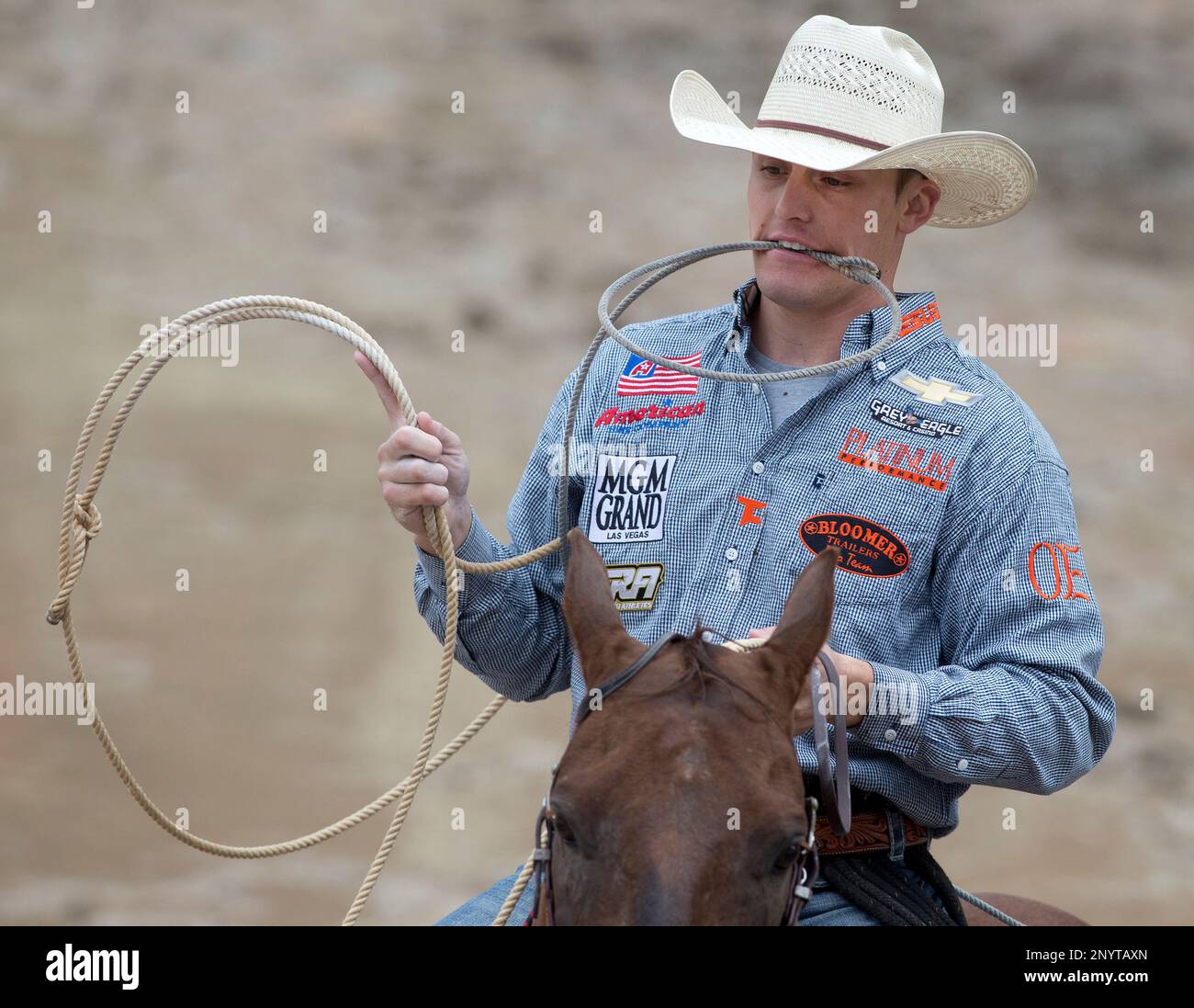 Tie-Down Roping (Calf Roping) event cowboy during the Calgary Stampede ...