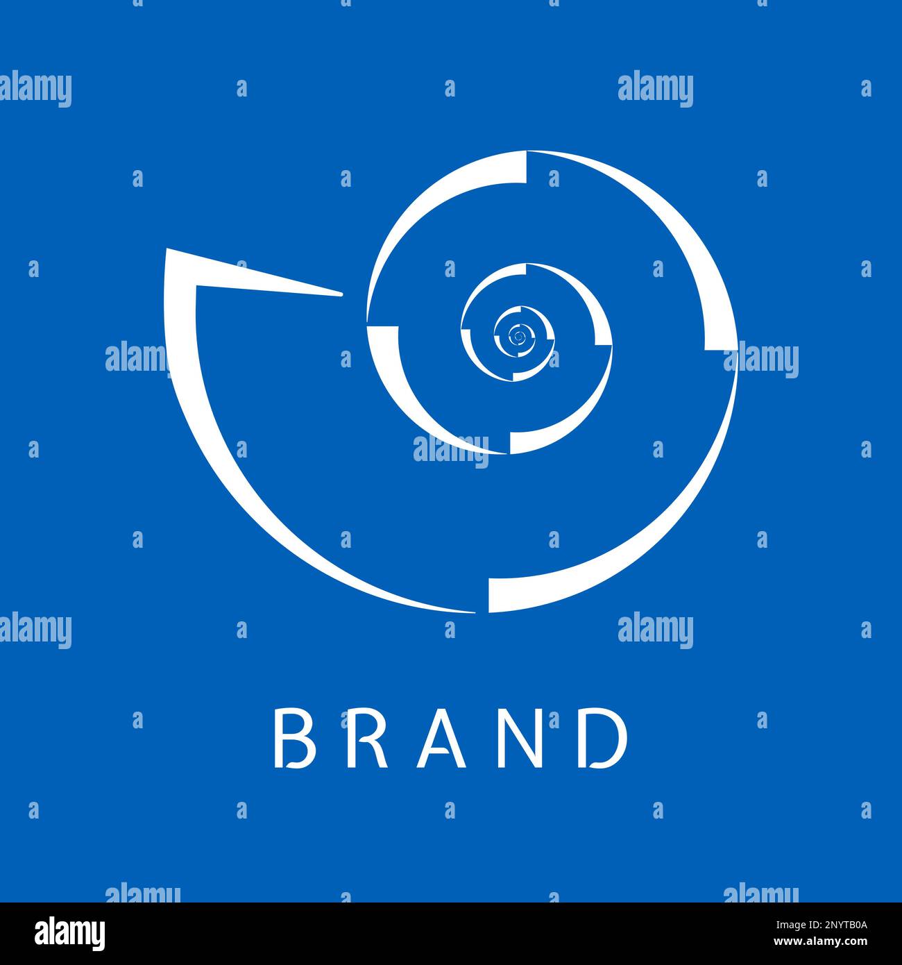 Seashell mollusk hi-res stock photography and images - Alamy