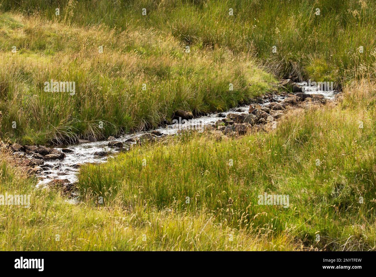 Source of river south tyne hi-res stock photography and images - Alamy