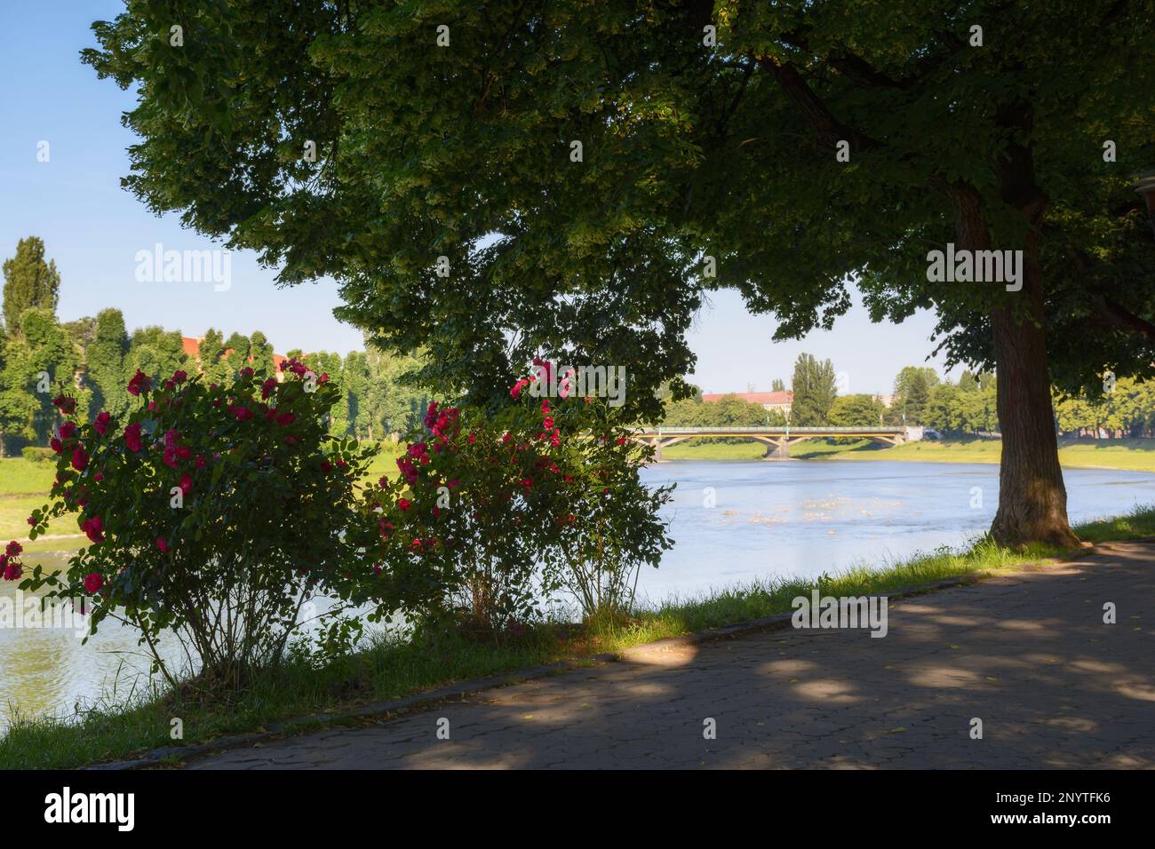river waterfront at sunrise. cityscape in summer. warm sunny weather ...