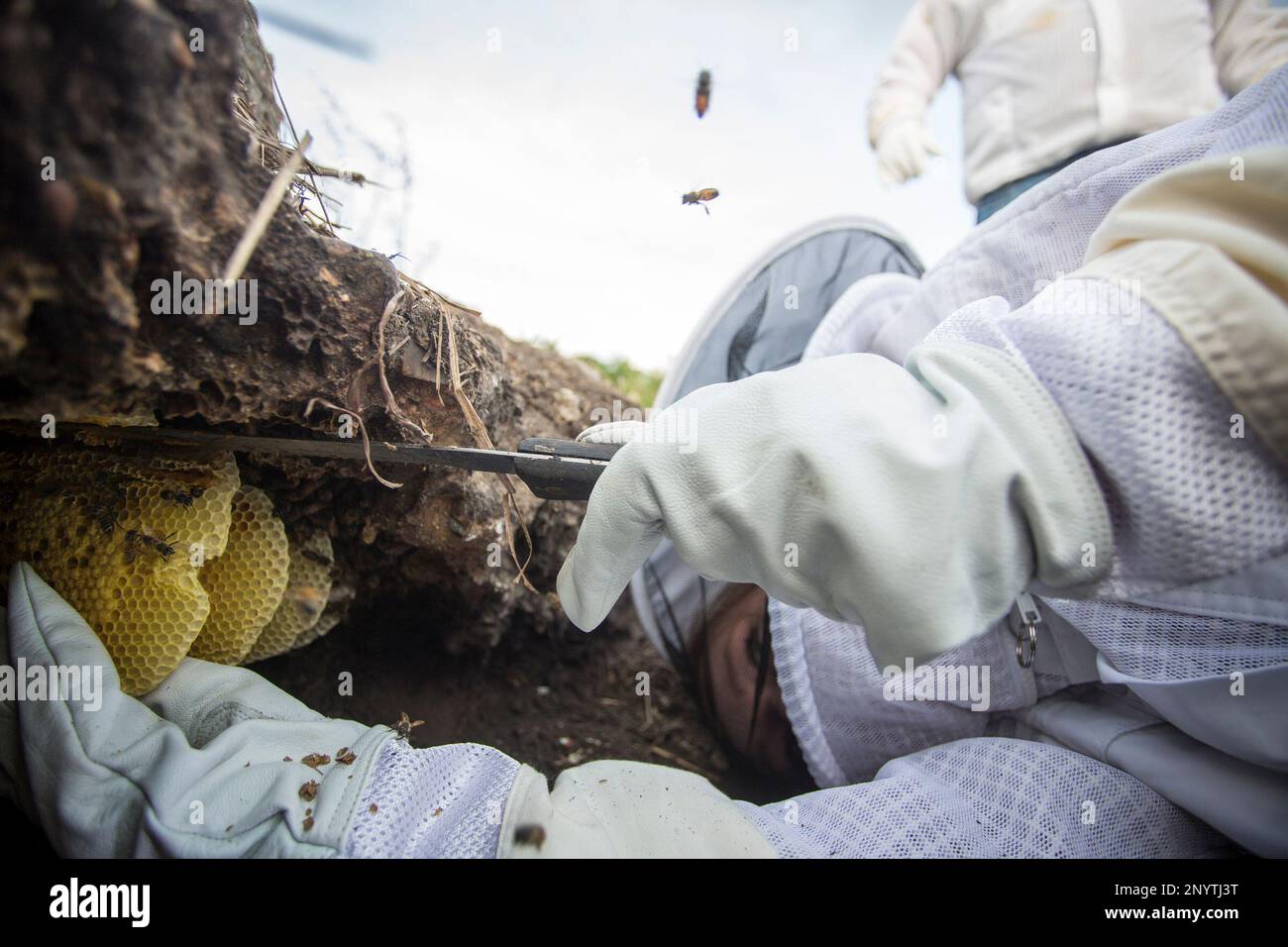 ADVANCE FOR SUNDAY, MAY 28, 2017 -In this May 10, 2017 photo, Lauren ...