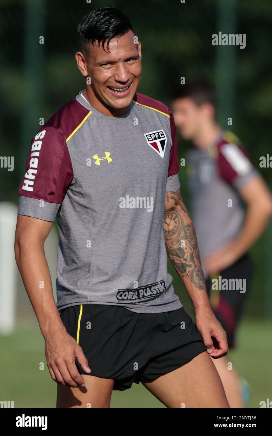 SAO PAULO - SP - 05/25/2017 - SAO PAULO TRAIN - Andres Chavez during ...
