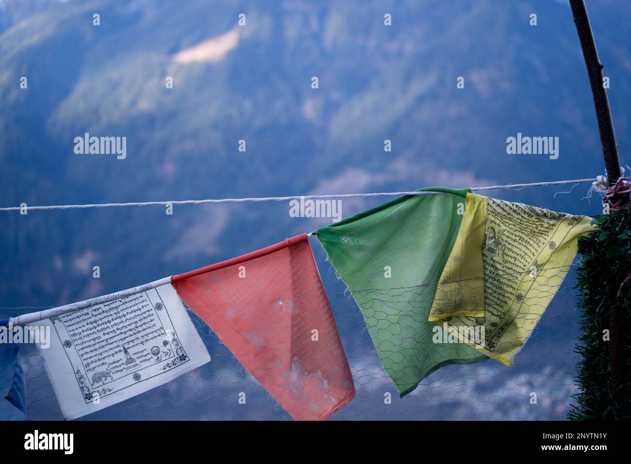 sacred religious multicolored prayer flags on fence moving in the wind ...