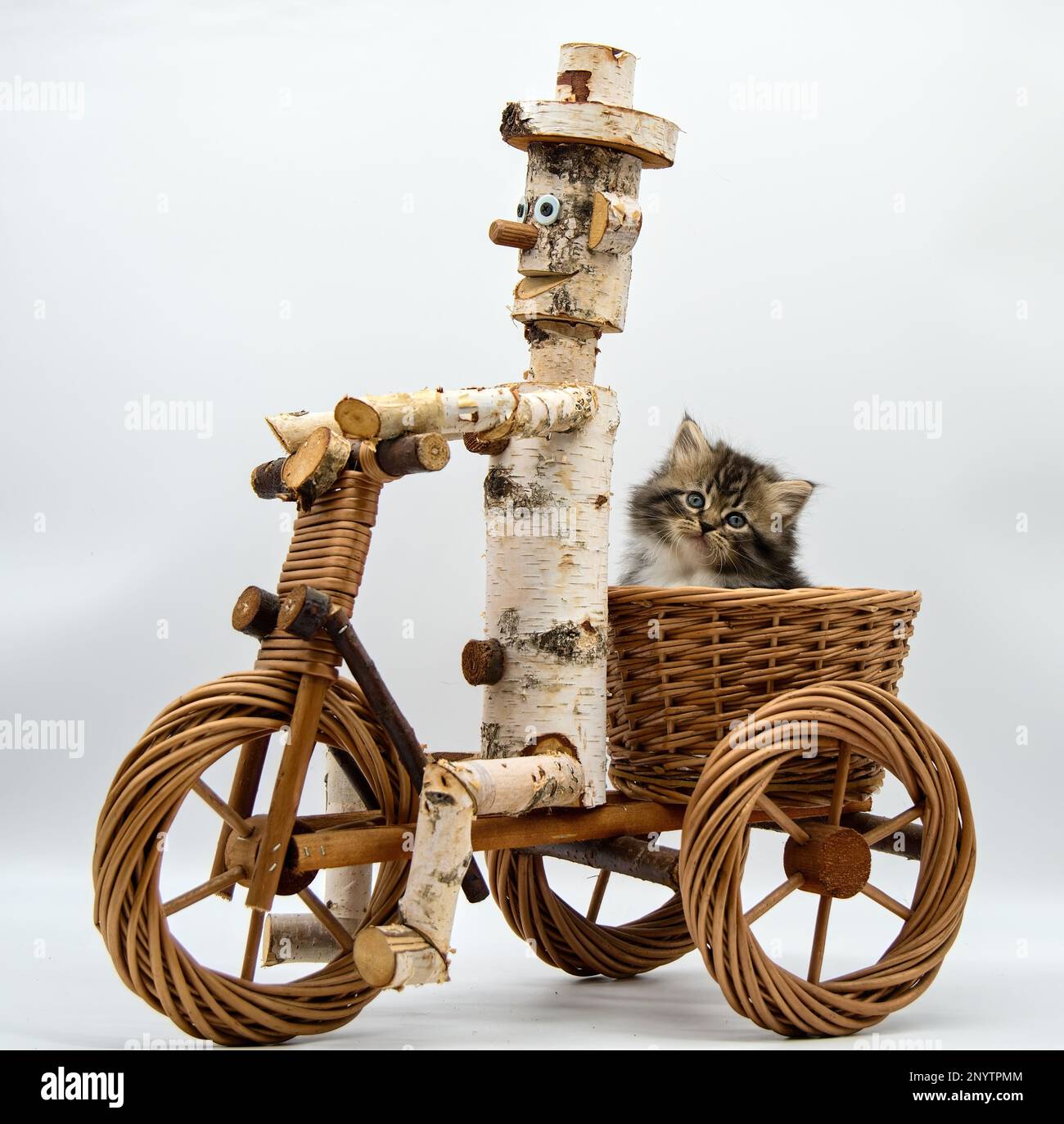 A kitten on a tricycle Stock Photo - Alamy
