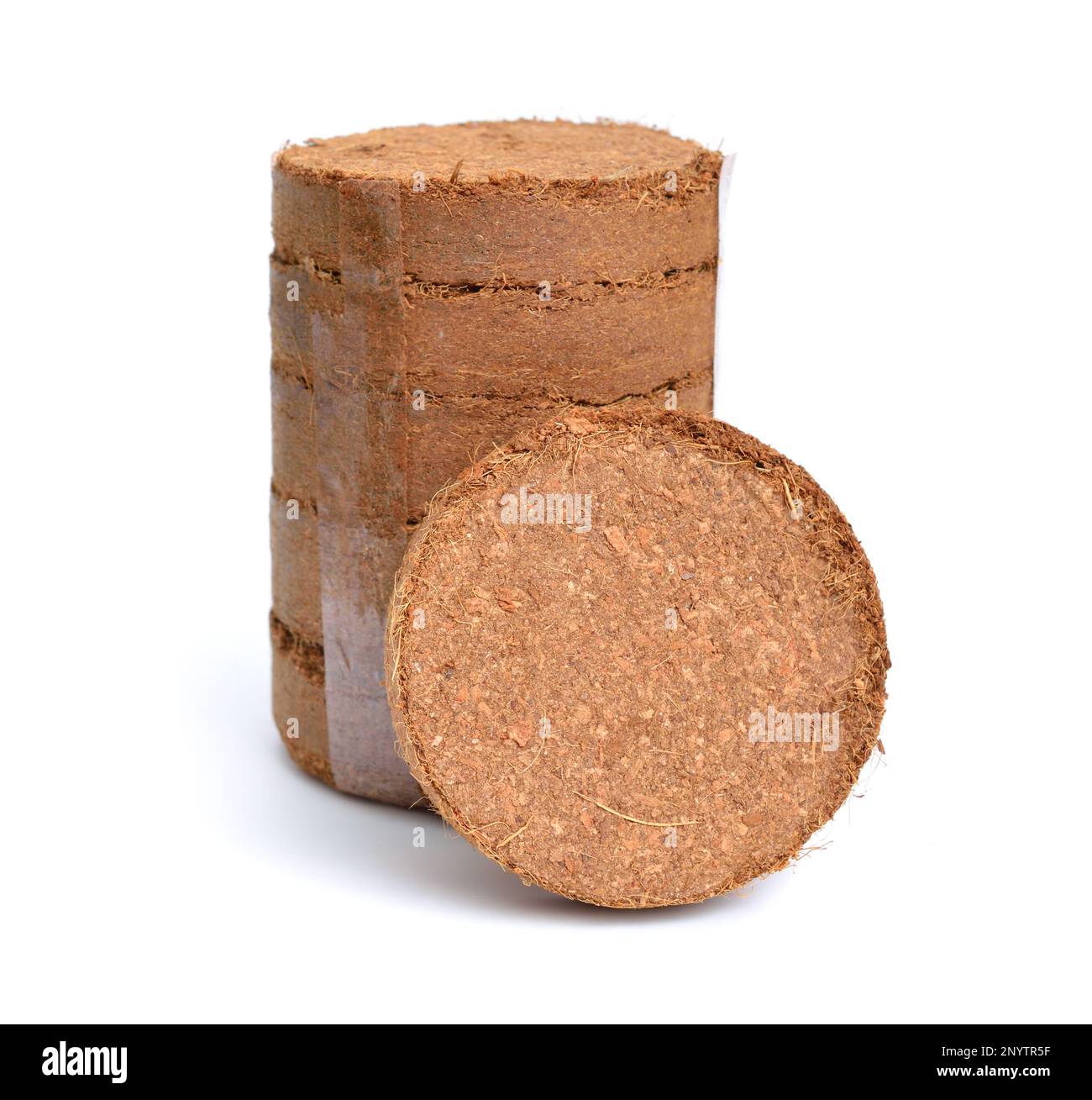 Coconut Coir substrate. Pressed briquette Isolated on White Background ...