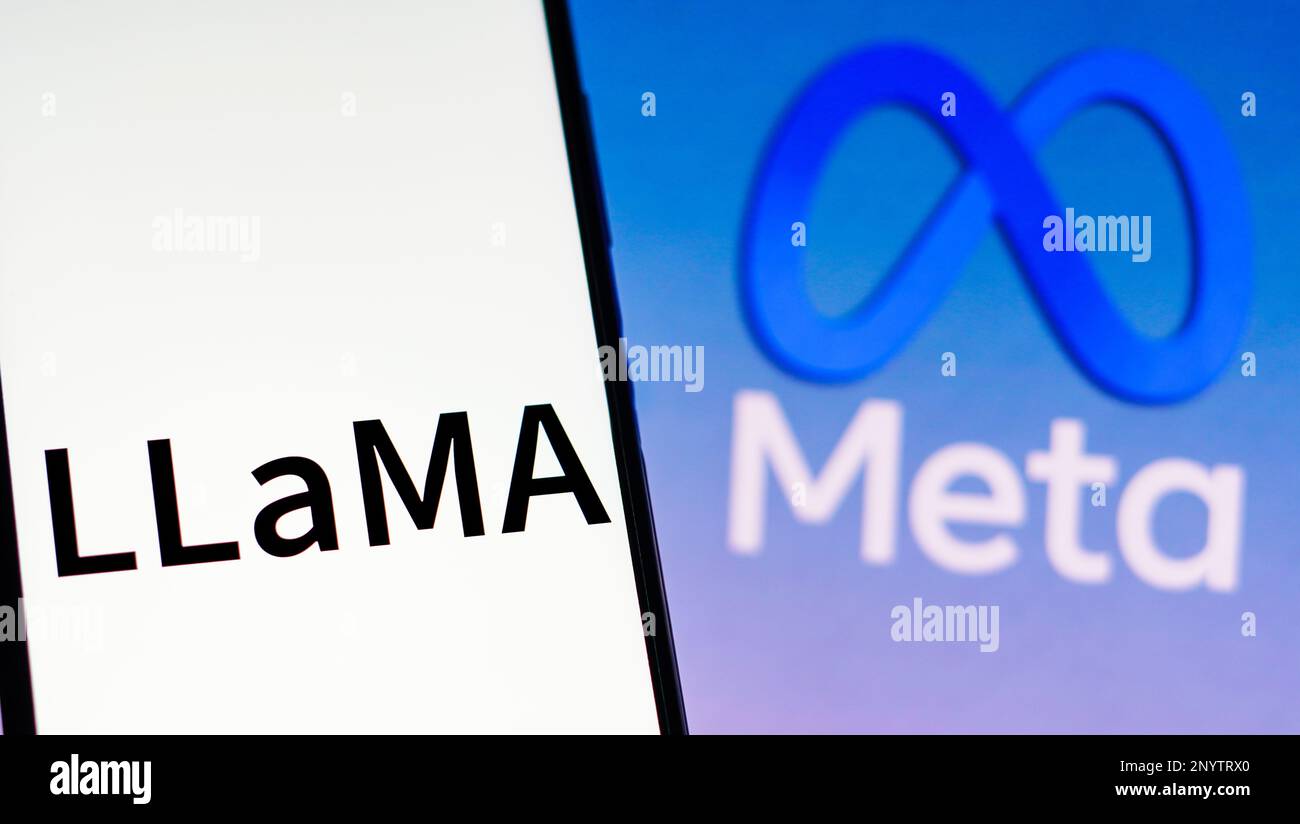 In this photo illustration, the LLaMA (Large Language Model Meta AI ...