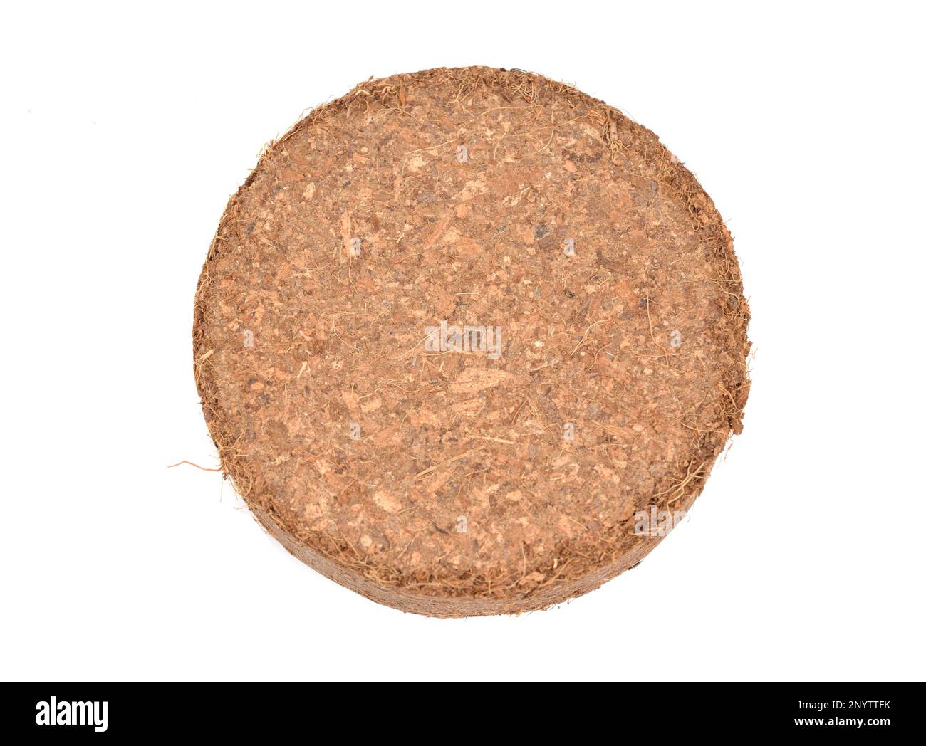 Coconut coir husk fiber Cut Out Stock Images & Pictures - Alamy