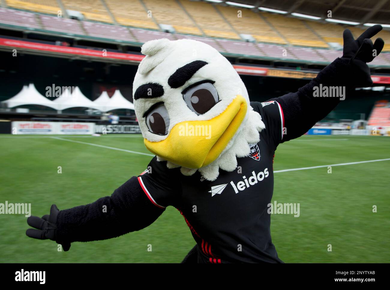 WASHINGTON, DC - MAY 20: DC United mascot Talon before a MLS match ...