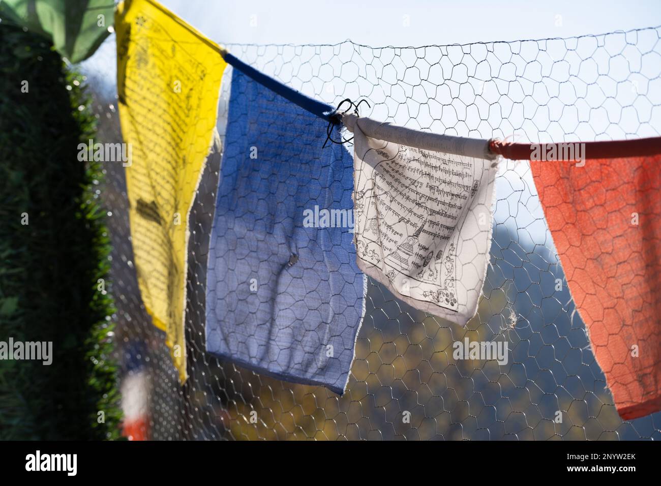 sacred religious multicolored prayer flags on fence moving in the wind ...