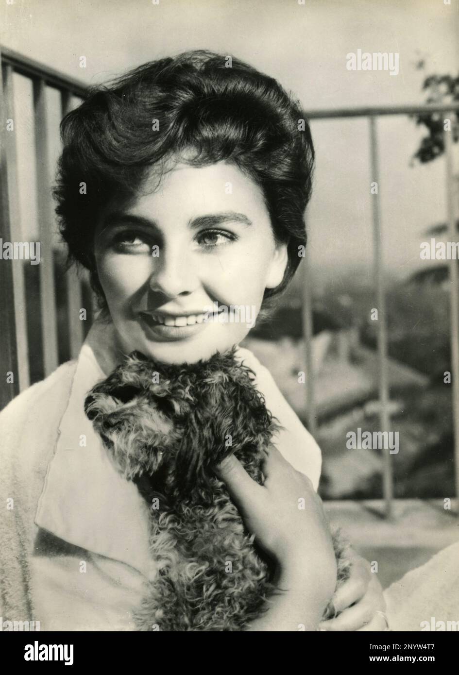 English actress 1950s hi-res stock photography and images - Alamy
