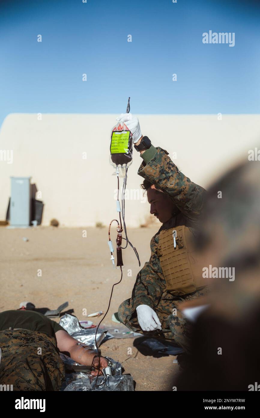 A U.S. Navy Sailor with 3d Marine Littoral Regiment, 3d Marine Division ...