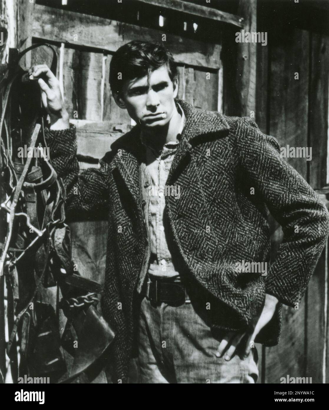 American actor Anthony Perkins in the movie The Lonely Man, USA 1957 ...